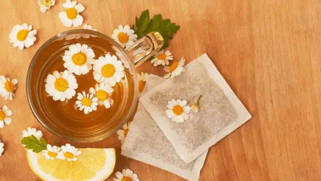 Are Tea Bags Compostable?